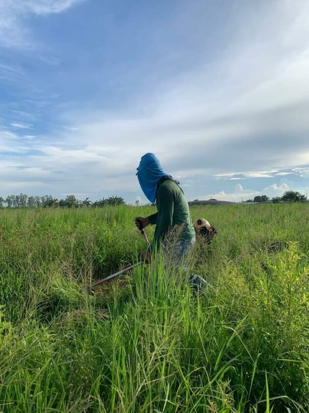 Farmers say no to proposed national land use law