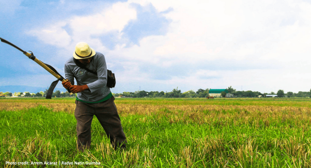 NDFP vows continuation of agrarian reform campaigns, ‘with or without ...