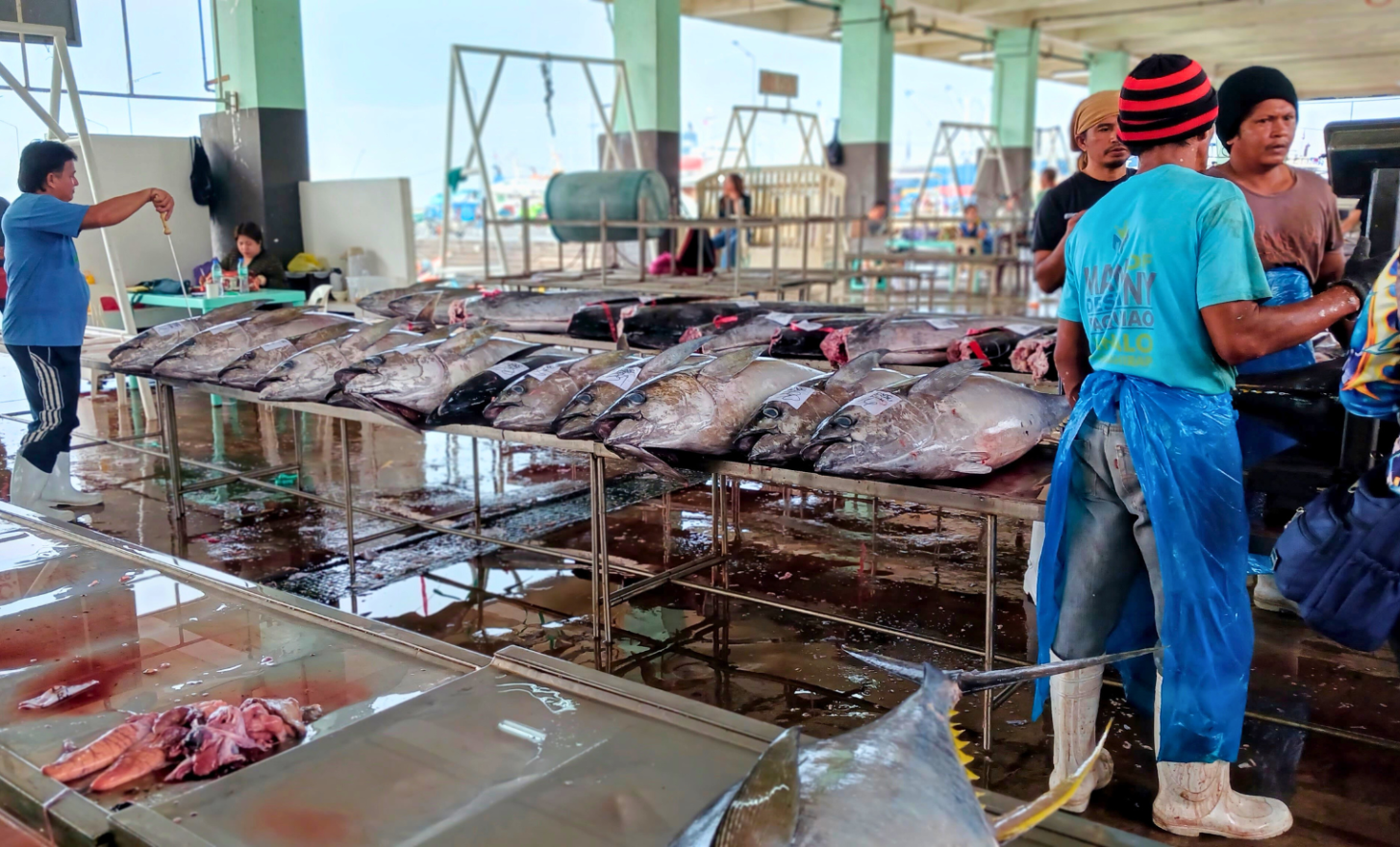 Billions for commercial tuna industry, crumbs for fisherfolk